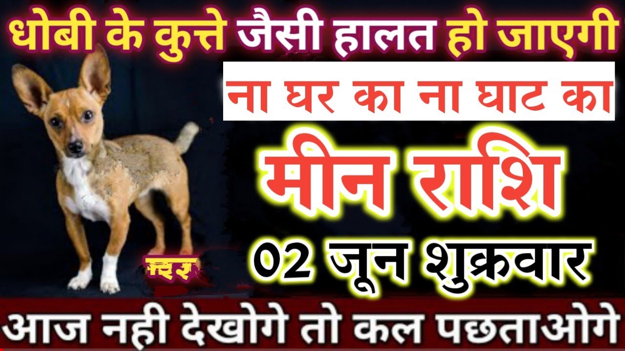 मीन राशि 02 जून शुक्रवार धोबी का कुत्ते जैसी हालत होगी || Meen rashi ...