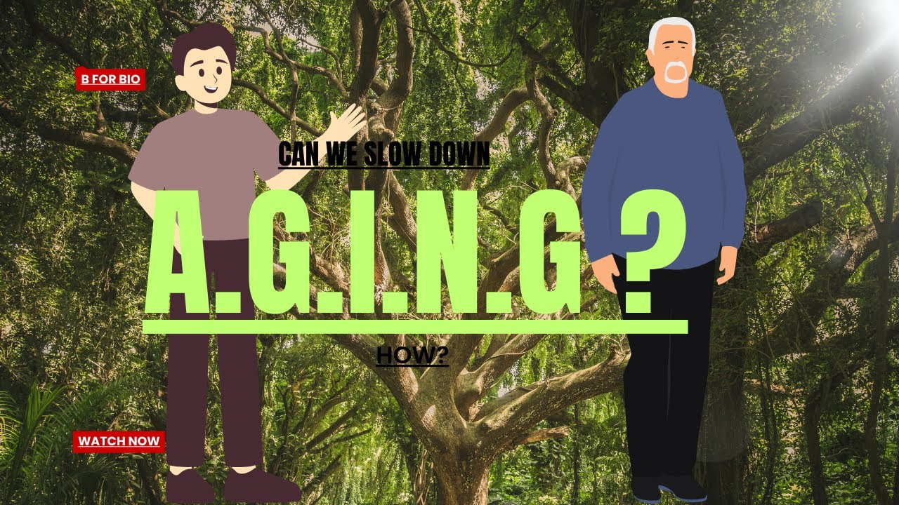 Why do we Age | Can Science Slow It Down? - YouTube