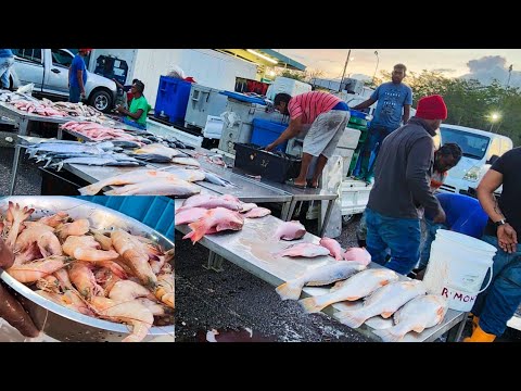 Orange Valley Fish Market | Trinidad - YouTube