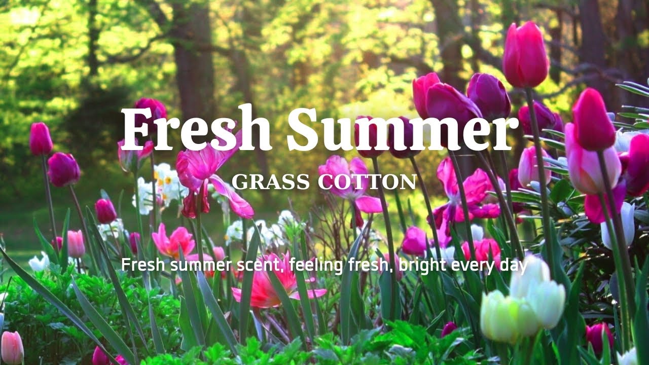 New Age Music Playlist - Fresh Summer Scent, Feeling Fresh, Bright ...
