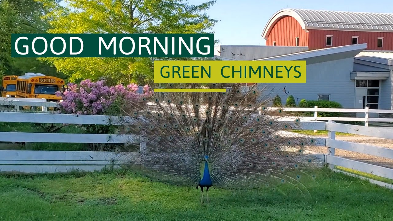 Good Morning Green Chimneys 2021 - YouTube