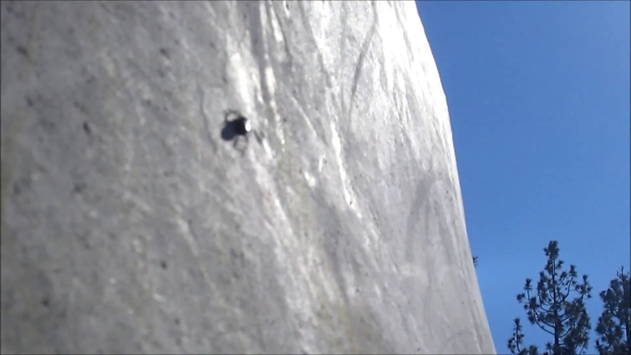 free solo fall - YouTube