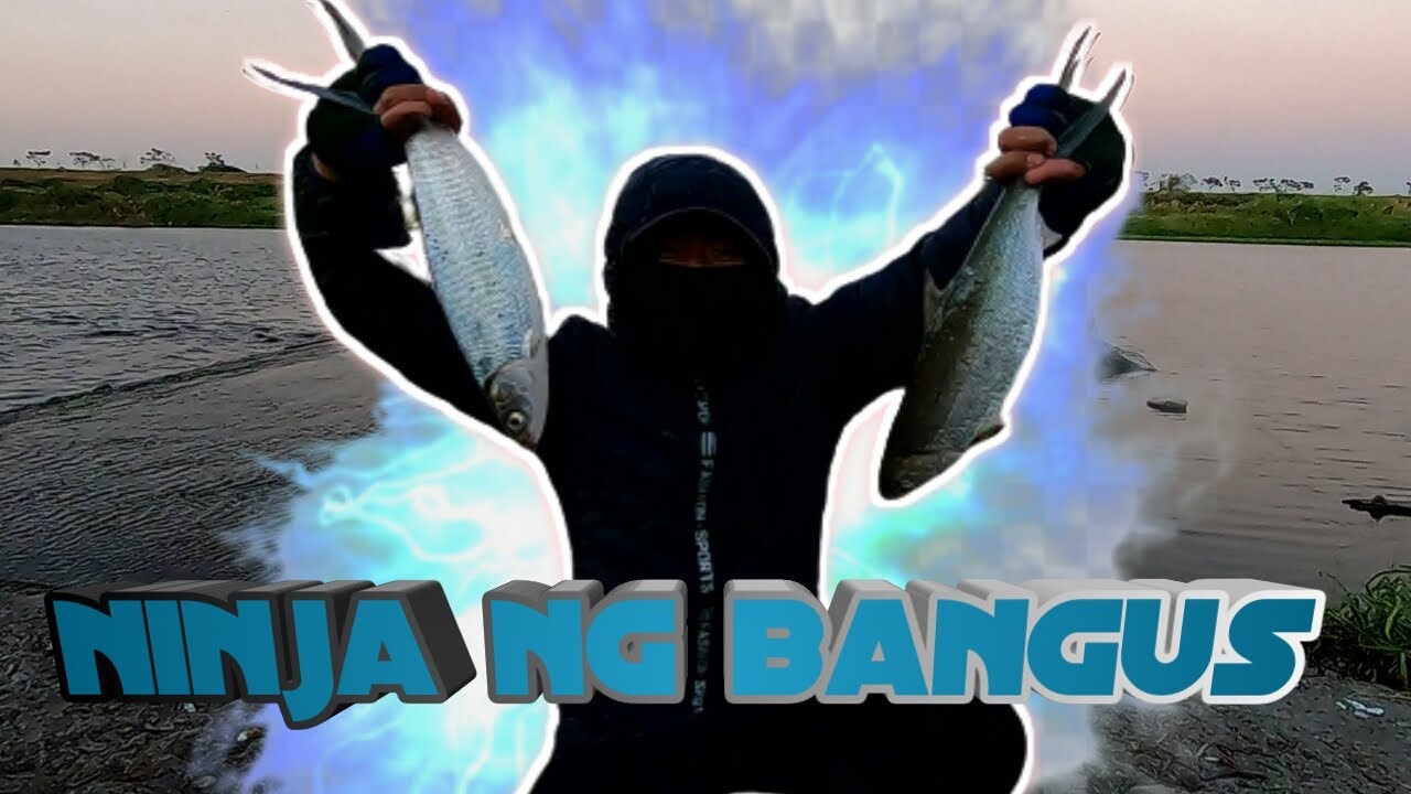 CATCH AND COOK MILKFISH ( BANGUS ) | TAIWAN FISHING - YouTube