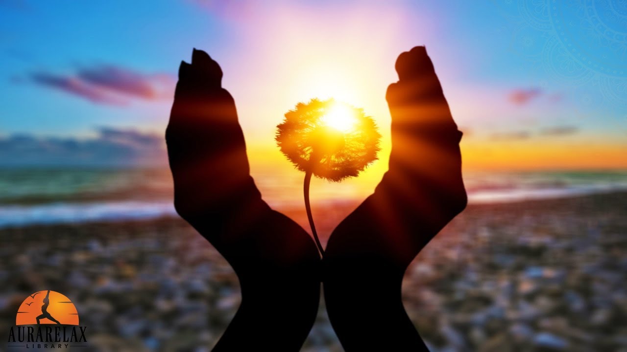 Calm Morning Music 528Hz 🌿Healing Uplifting Positive Energy Meditation ...