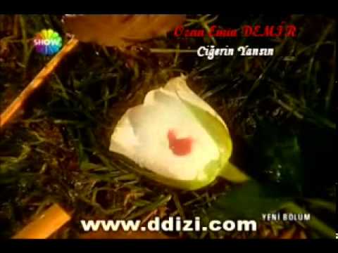 Ozan Emin DEMİR - Ciğerin Yansın
