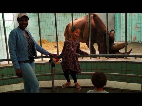 Family fun time || A Vist To The Wild Animals Zoo - YouTube