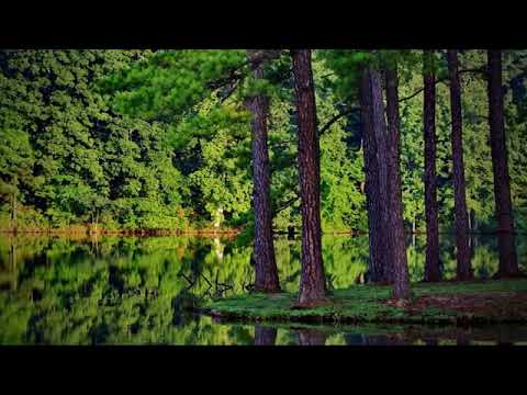 Nature Beautiful short video 720p HD480P - YouTube
