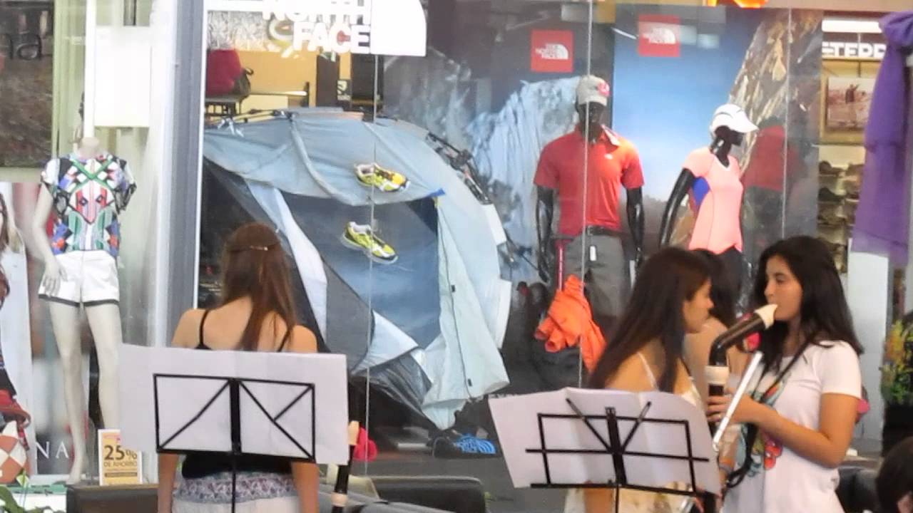 Muestra Talleres - Patio Alvear Cristina Arellano - YouTube