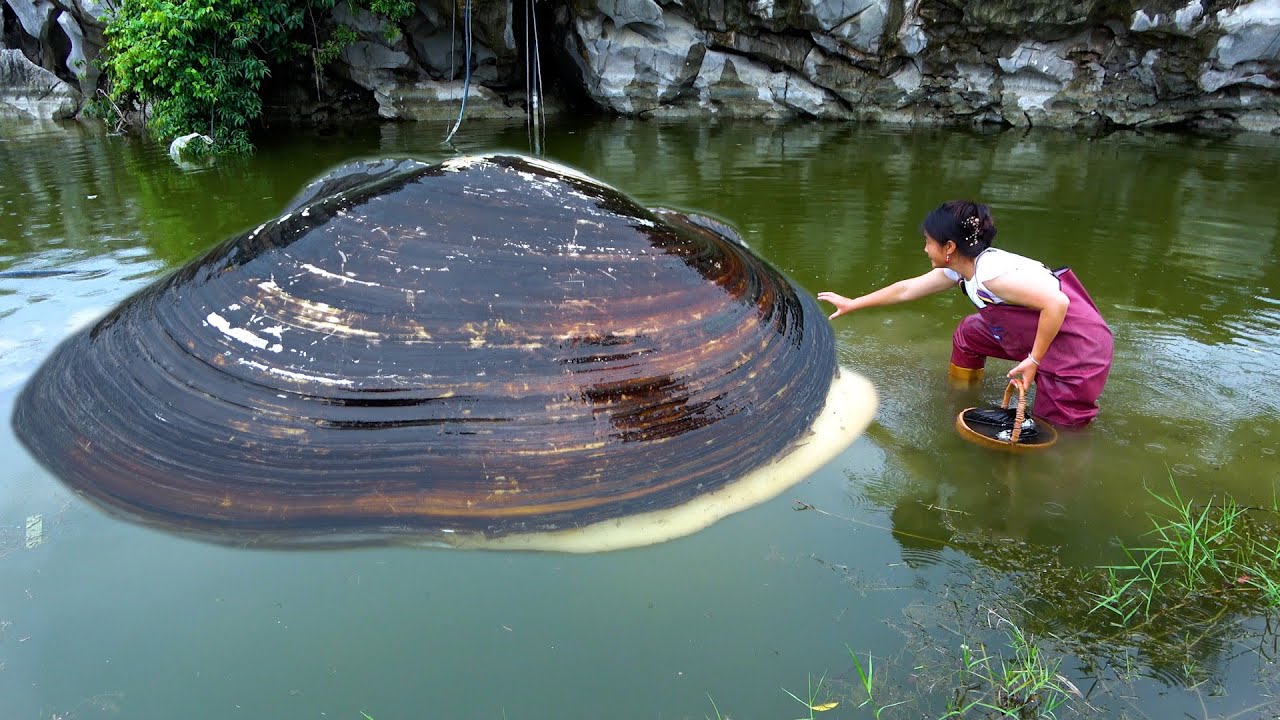 Look, the clam is about to spit out pearls. Get a basket ready to pick ...
