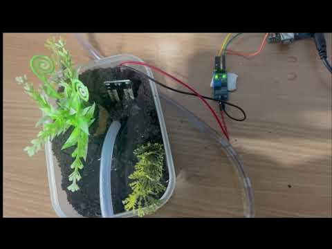 Automatic Water Plant System - YouTube
