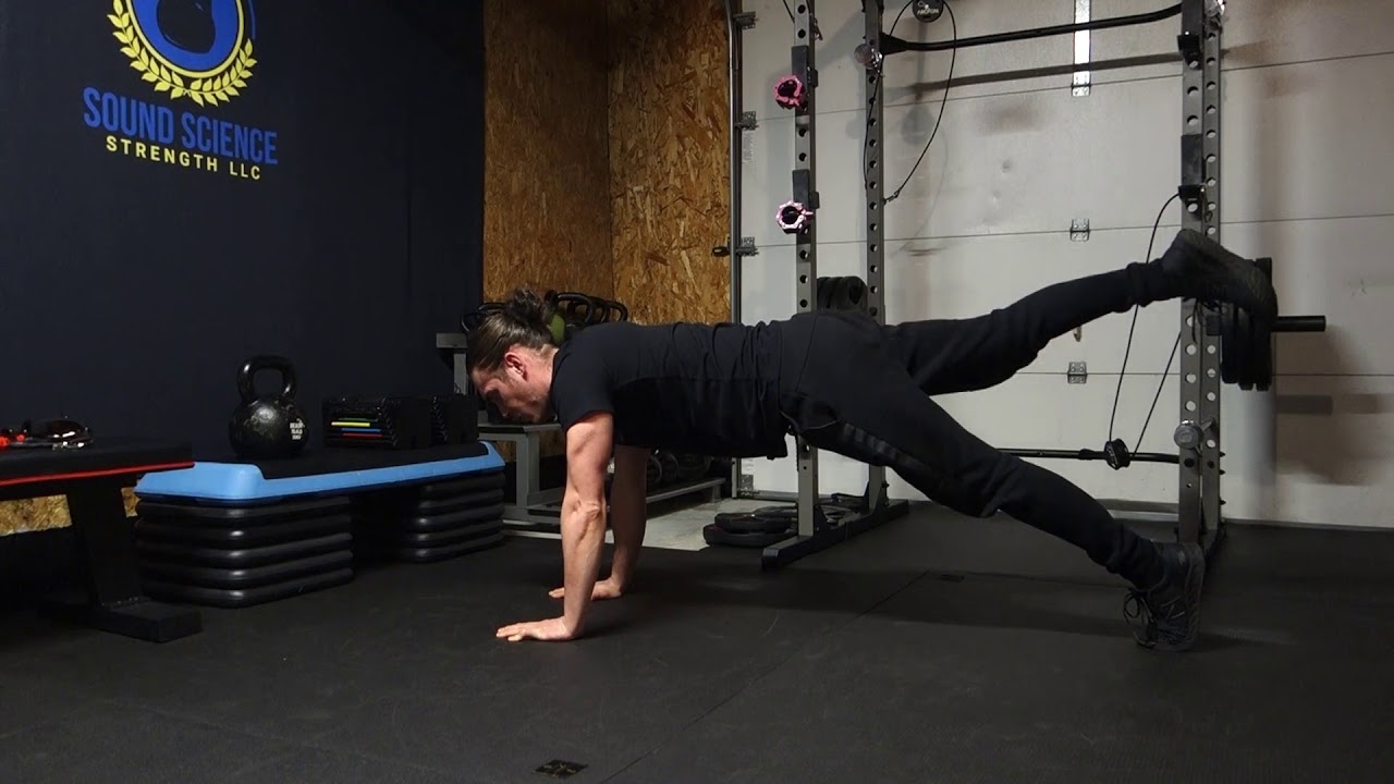 Forearm, Hand Planks and Leg Lift and Lift Hold Variation Exercise ...