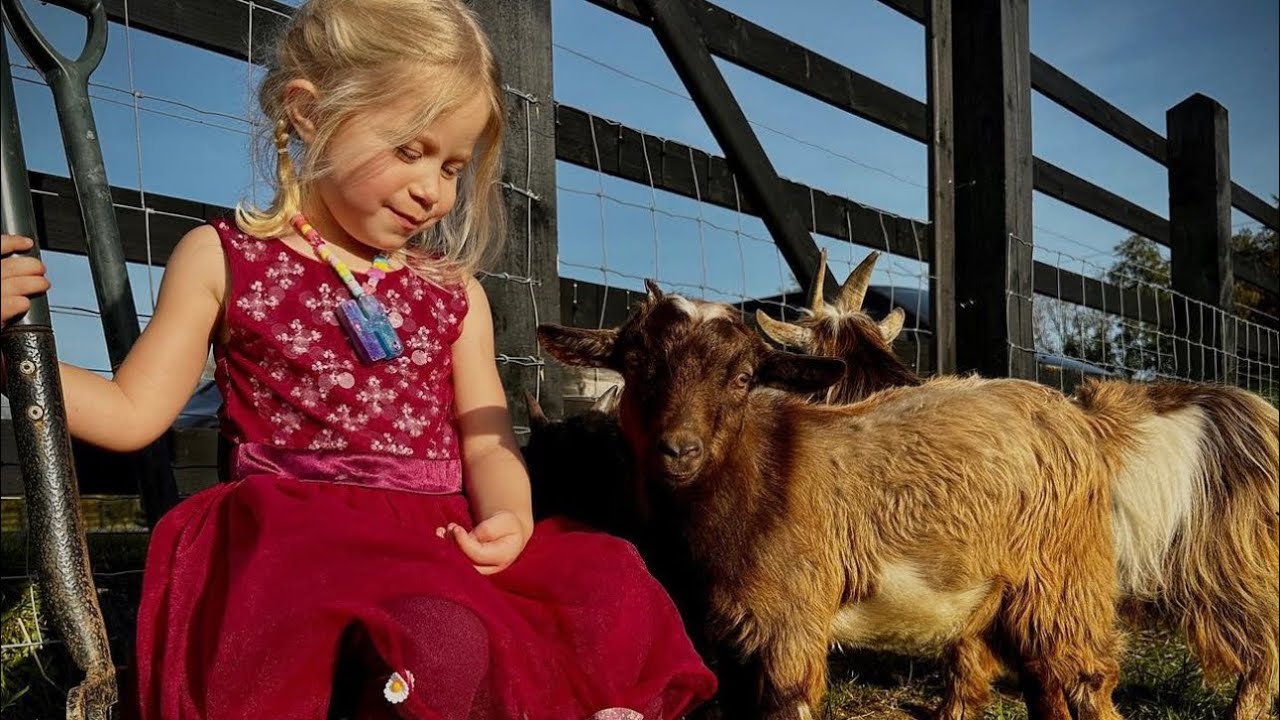 Adorable Little Girl Lets Her Goats In The House! They're So Funny ...