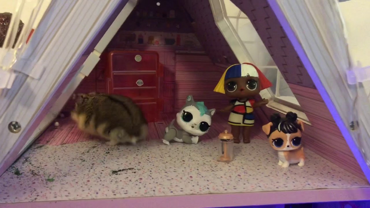 Hamster in LOL surprise doll house - YouTube
