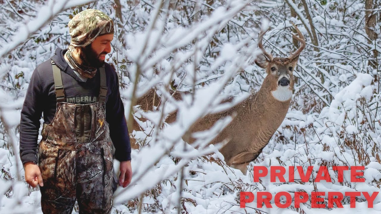 Bow Hunting Whitetail Deer on Private Property | Long Island, NY - YouTube