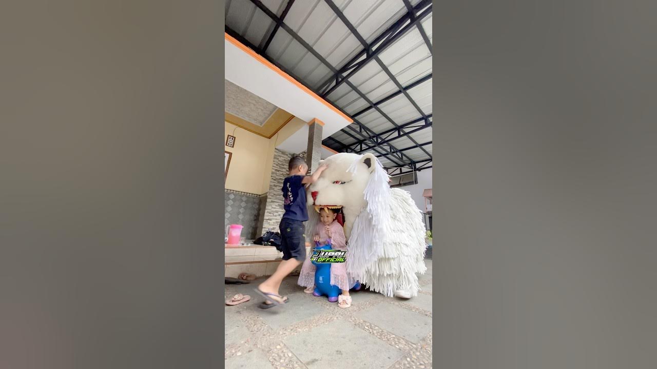 Bocil lagi main sapi loncat di makan Can Macanan dari belakang - YouTube