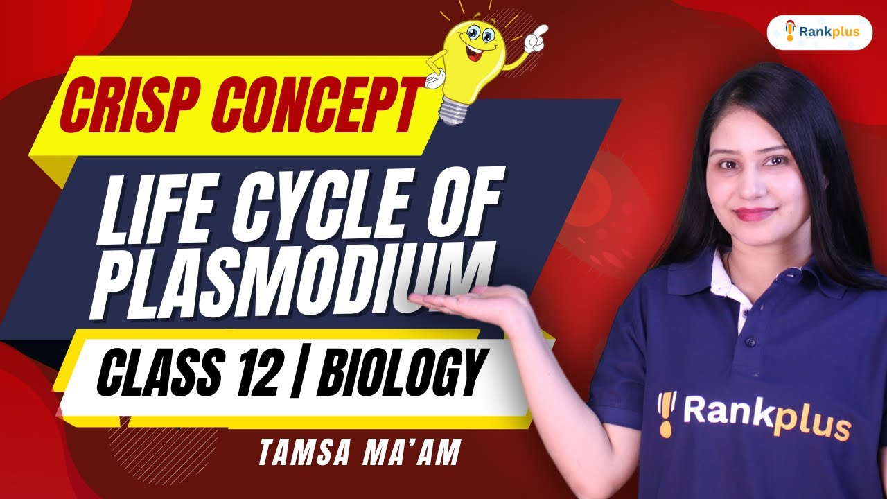 CBSE Class 12 Biology | Life Cycle of Plasmodium | Biology by Tamsa Mam ...