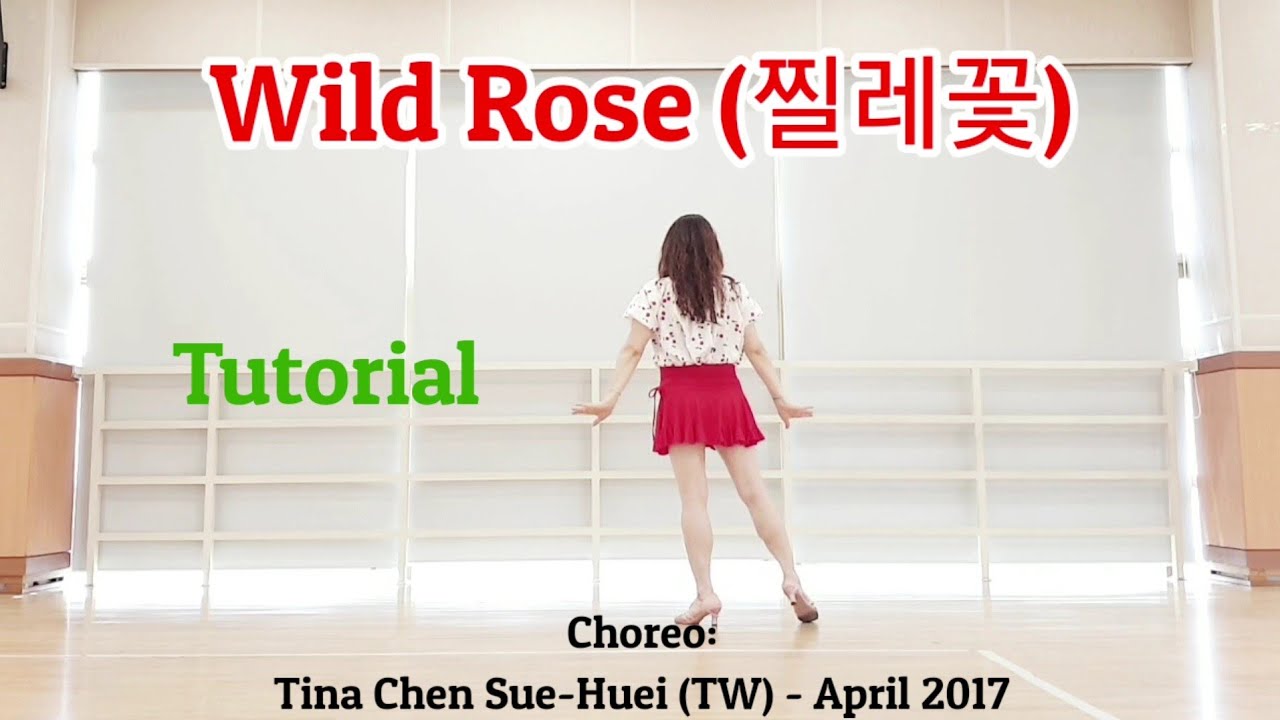 Wild Rose(찔레꽃) Tutorial/High Beginner/초급라인댄스 - YouTube