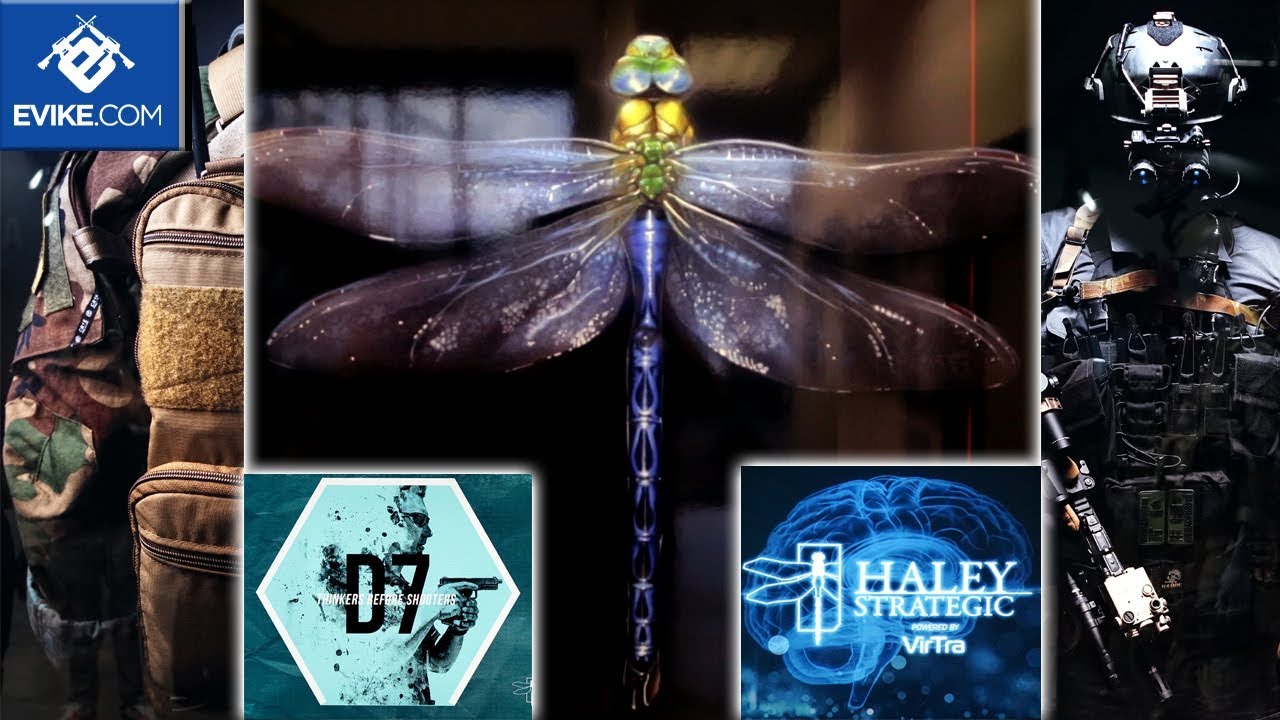 Haley Strategic Dragonfly Logo EIG Apps On Google Play