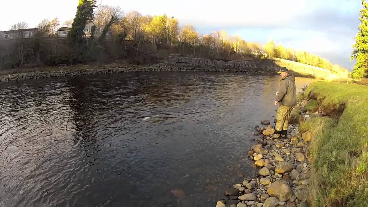 My first River Dee spring salmon - 15lb - HD - YouTube