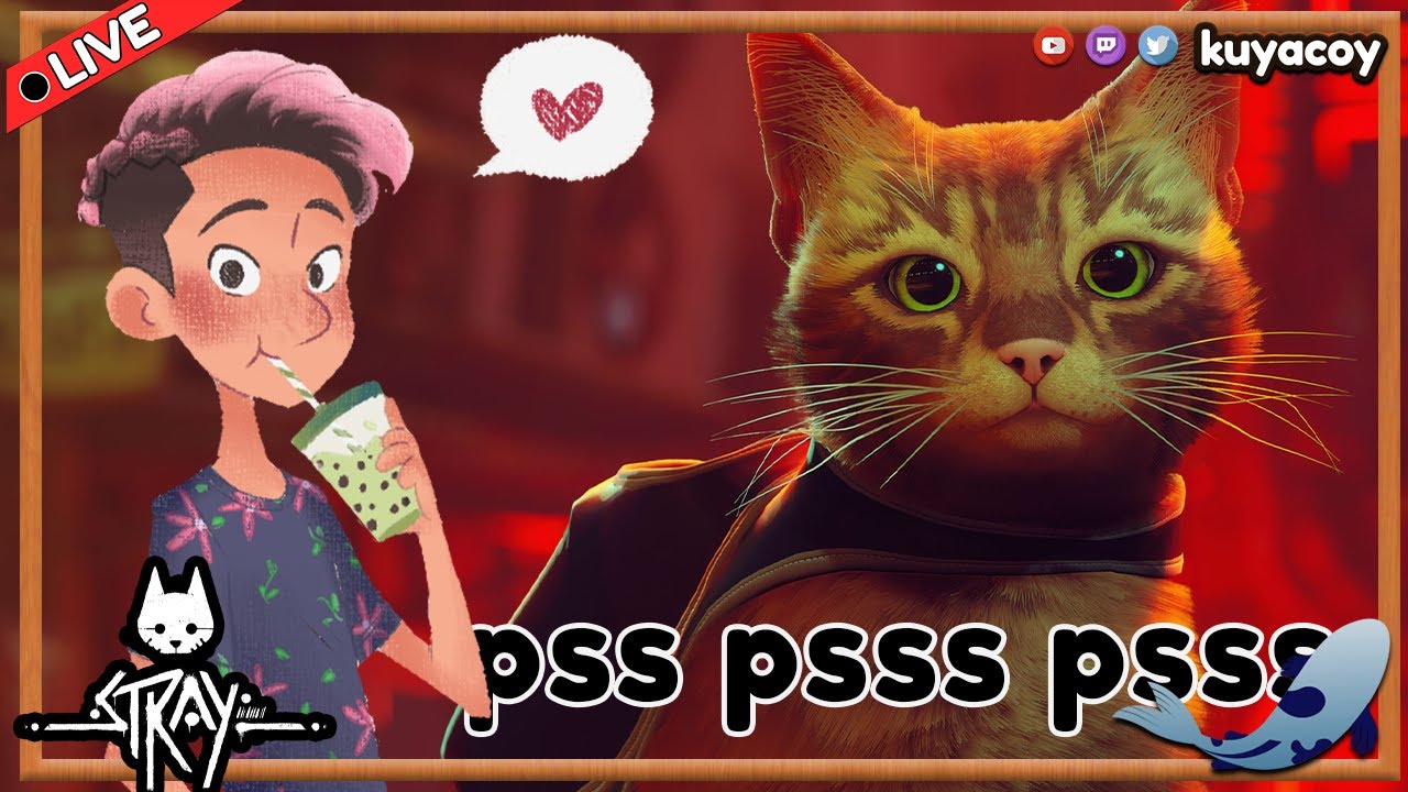 PSSS PSSS PSSS, Let's Finish this Game | Stray - YouTube