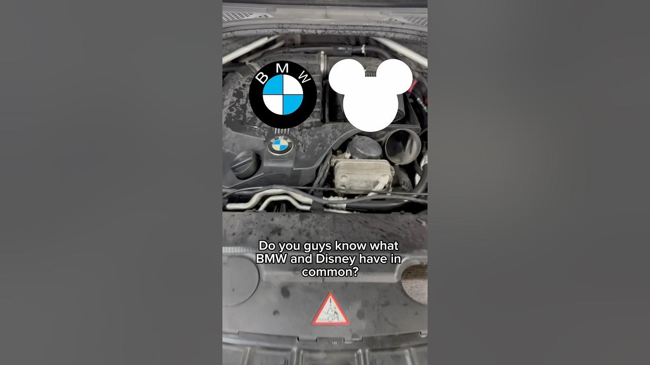 Mickey Mouse flange replacement on N5X and N20 #BMW #N52 #N54 #N55 #N20 #diy #cars #mechanic ...