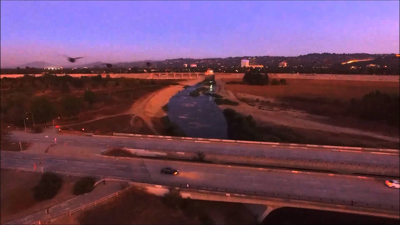 Slow Motion birdy num nums - YouTube