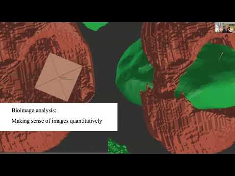 BioImage Analysis of Microscopy data - YouTube