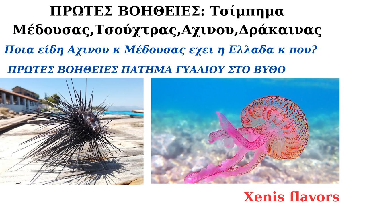 Πρώτες Βοήθειες Για Τσιμπημα Μέδουσας-Αχινου-Δράκαινας-Σκορπινας.ΠΑΤΗΜΑ ...