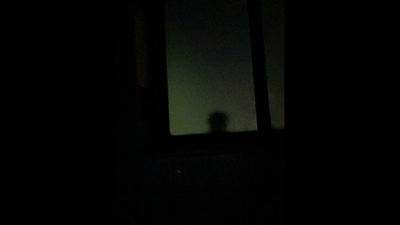 THERES A STRANGE CREATURE LURKING OUTSIDE MY BATHROOM WINDOW - YouTube