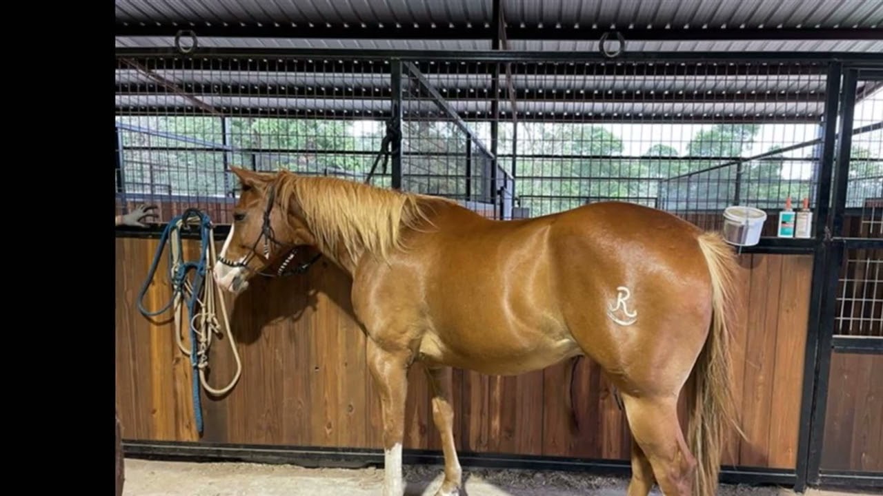 Slick By Design - YouTube