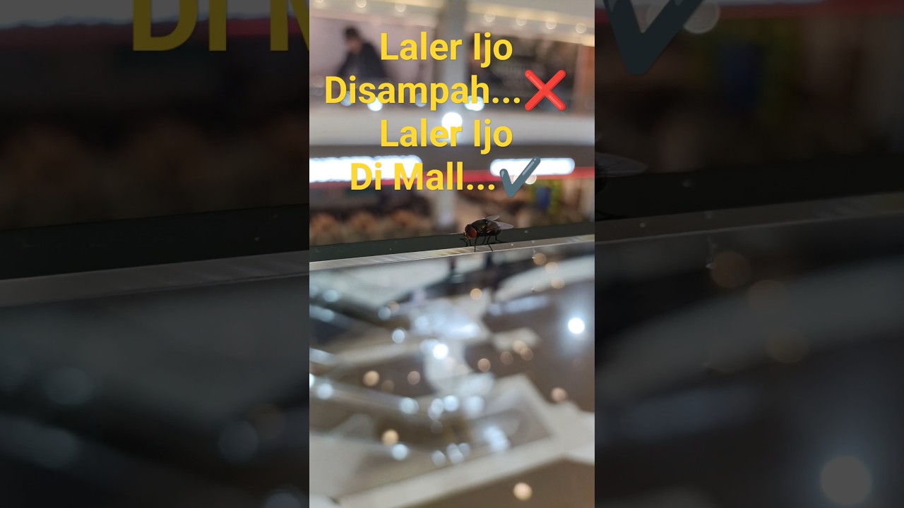 Laler Ijo Elit!! Ngemall 😁😁😁 #shorts #viral - YouTube