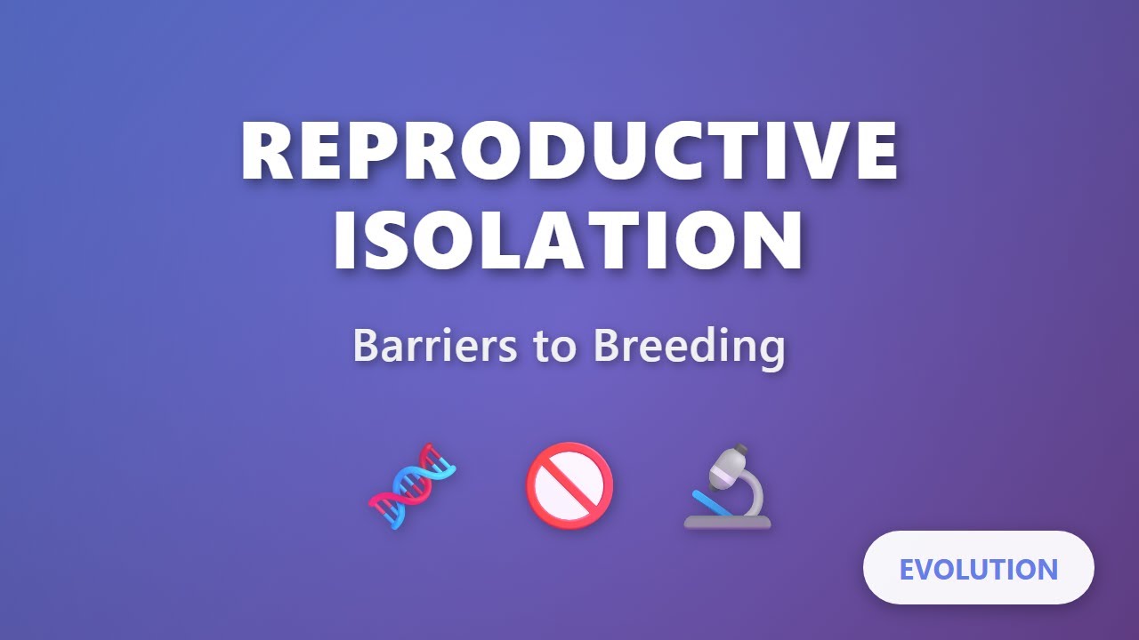 Reproductive Isolation: Barriers to Breeding Explained | Evolution ...