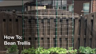 how to build a garden trellis for beans - Woodworking Challenge