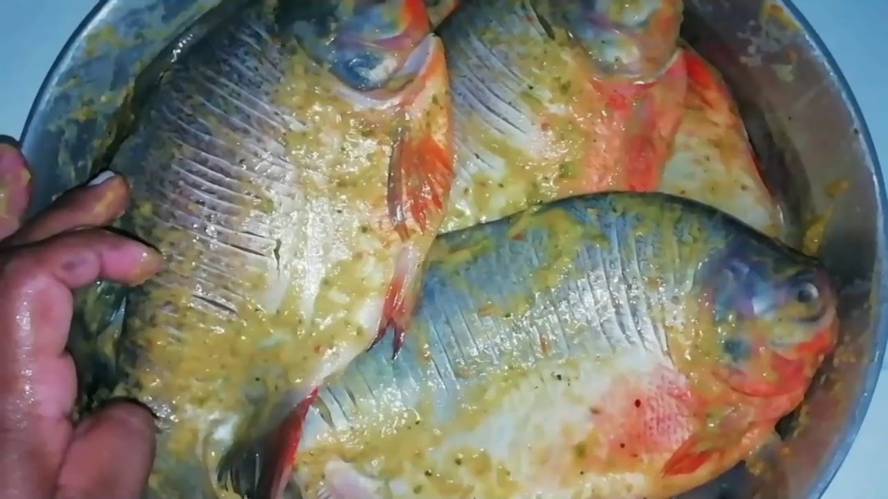 Como hacer cachama rellena - YouTube