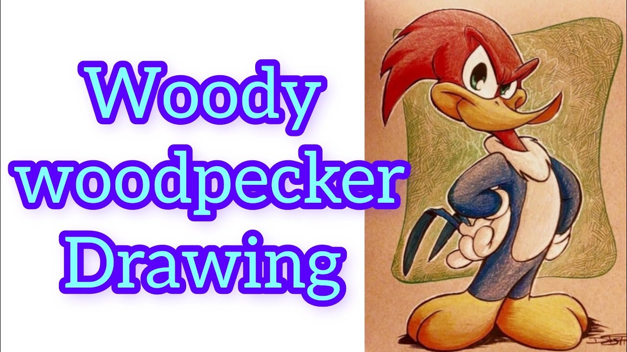 how to draw woodpecker/how to draw woodpecker step by step/how to draw ...