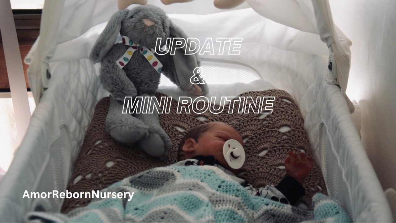 Mini Morning Routine & Update | Unexpected Vlog | AmorRebornNursery ...