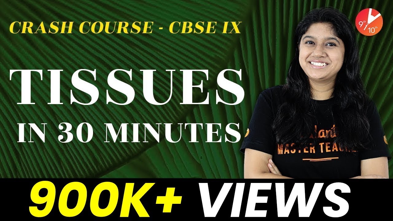 Score 100% in Biology | Tissues Crash Course in 30 Minutes | Vedantu ...