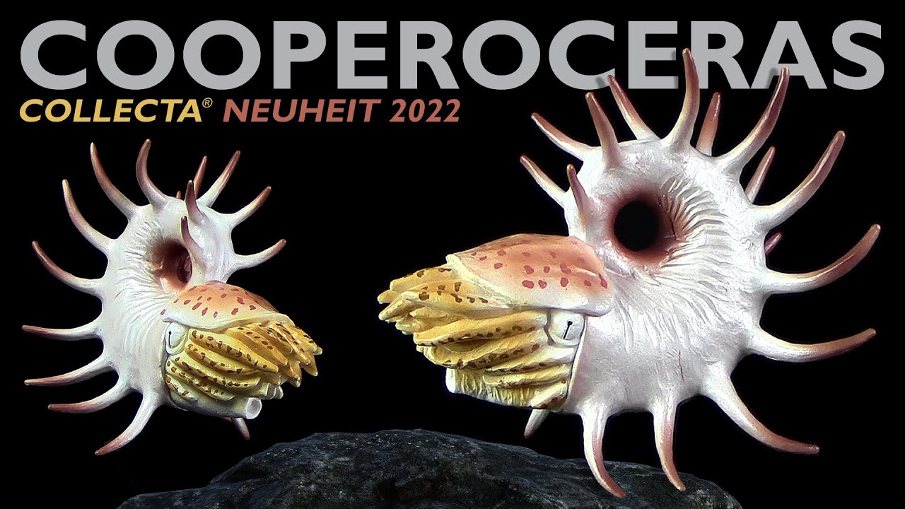 Collecta ® Cooperoceras - Neuheit 2022 New - Kopffüßer Review (Deutsch ...