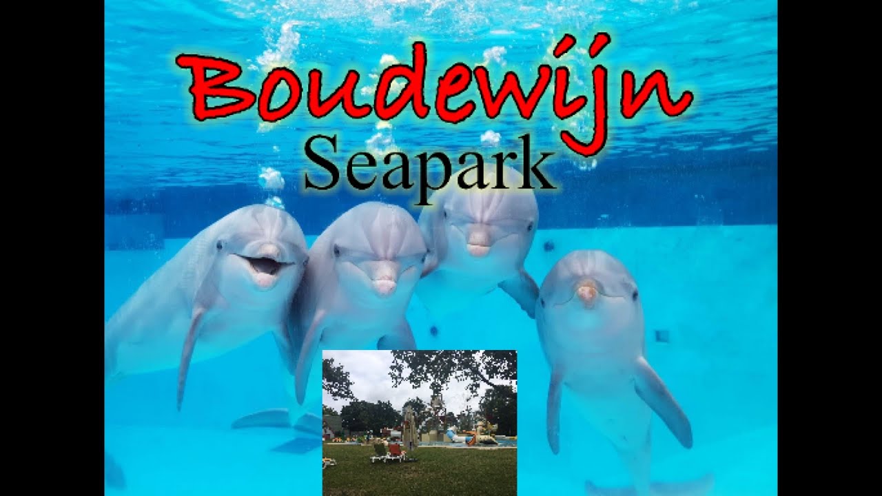 Let’s explore Boudewijn seapark - YouTube
