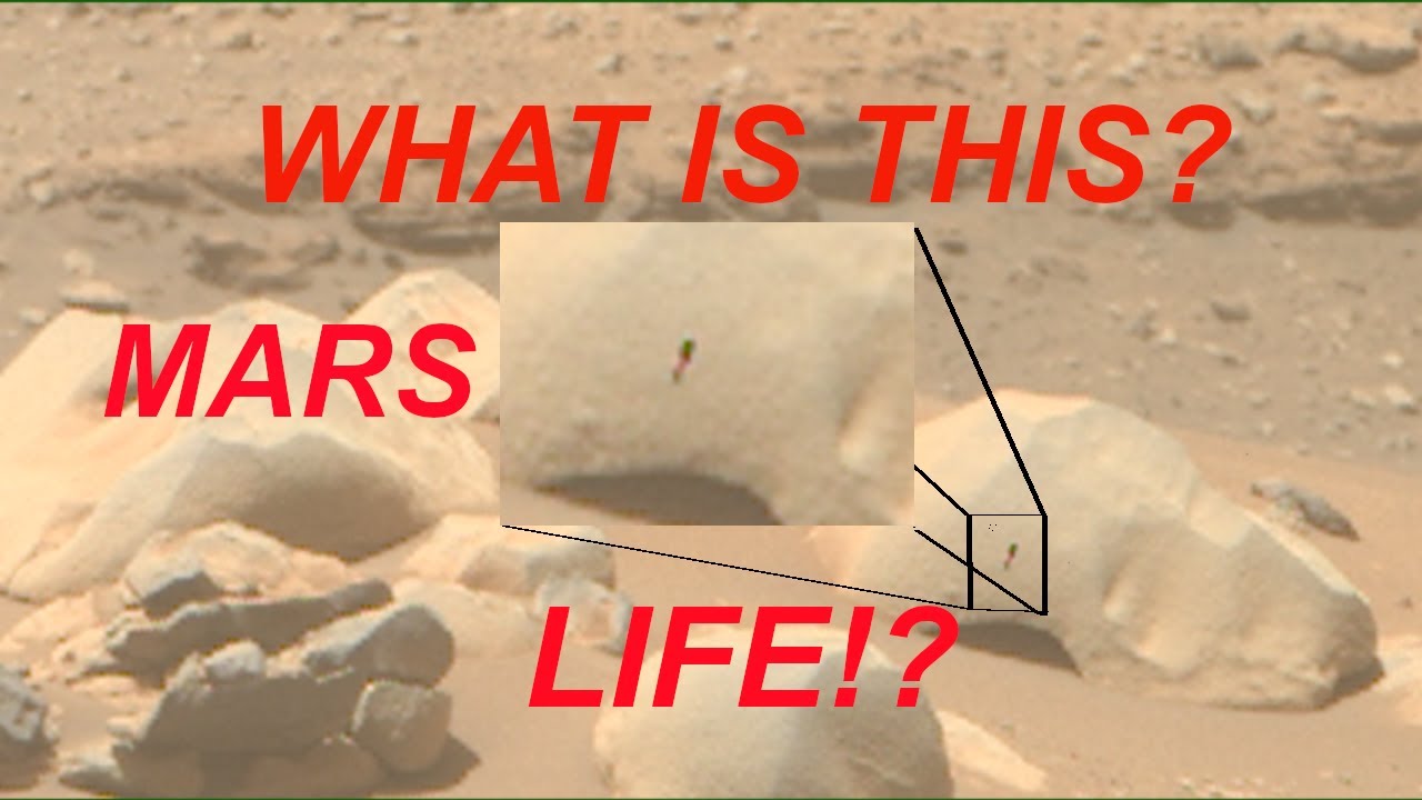 MARS Plant-Like Structure Analysis - YouTube