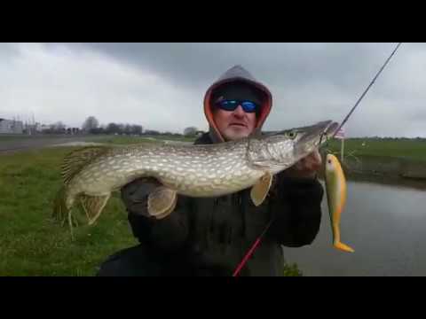 Iron Claw Slab Shad/ Hit on the Slab Shad - YouTube