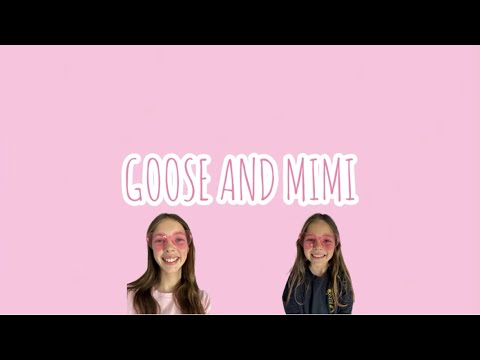 Our New Intro! 🩷 🤩👯‍♀️ | Goose and Mimi | #sisters #intro #video - YouTube