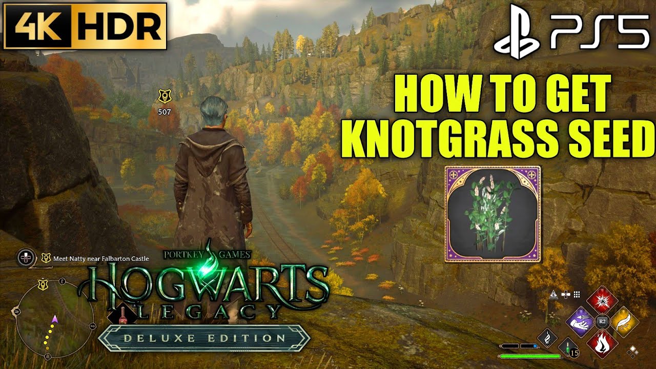 How to Get Knotgrass Seed HOGWARTS LEGACY Knotgrass Seed Location ...