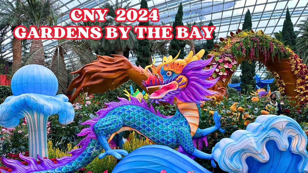 🧨 🧧 Dahlia Dreams 2024 at Gardens By The Bay | Singapore Chinese New ...