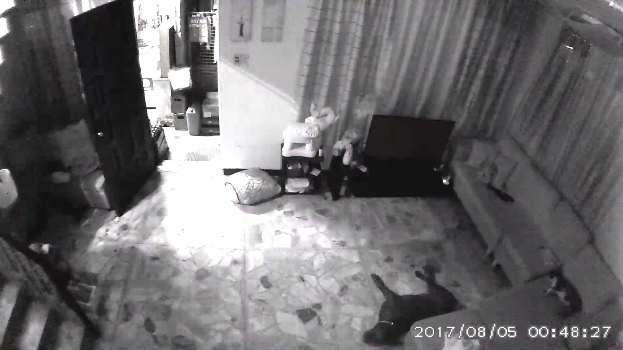 Xiaomi Xiaofang Night vision switch test - YouTube