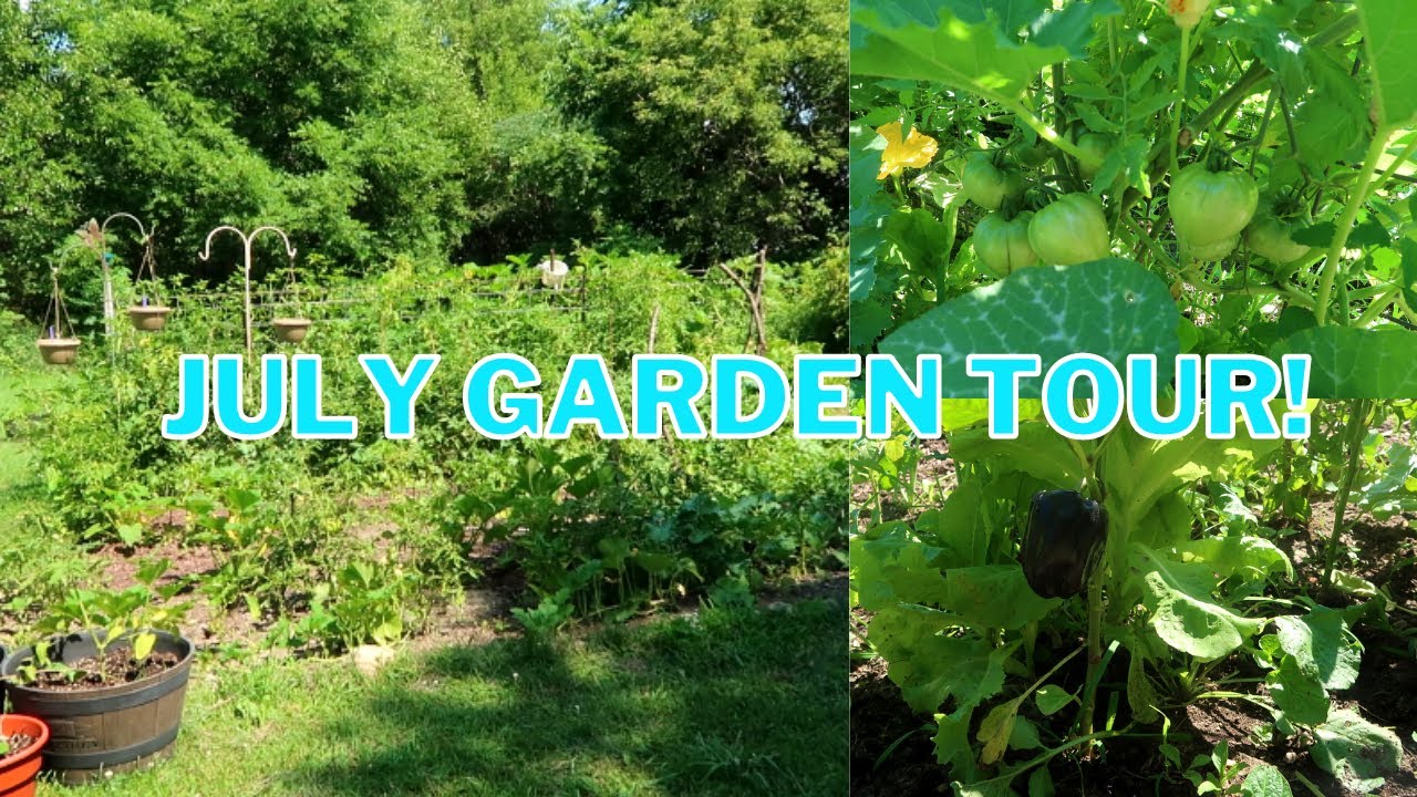 JULY GARDEN TOUR | a wild and beautiful slice of summer - YouTube