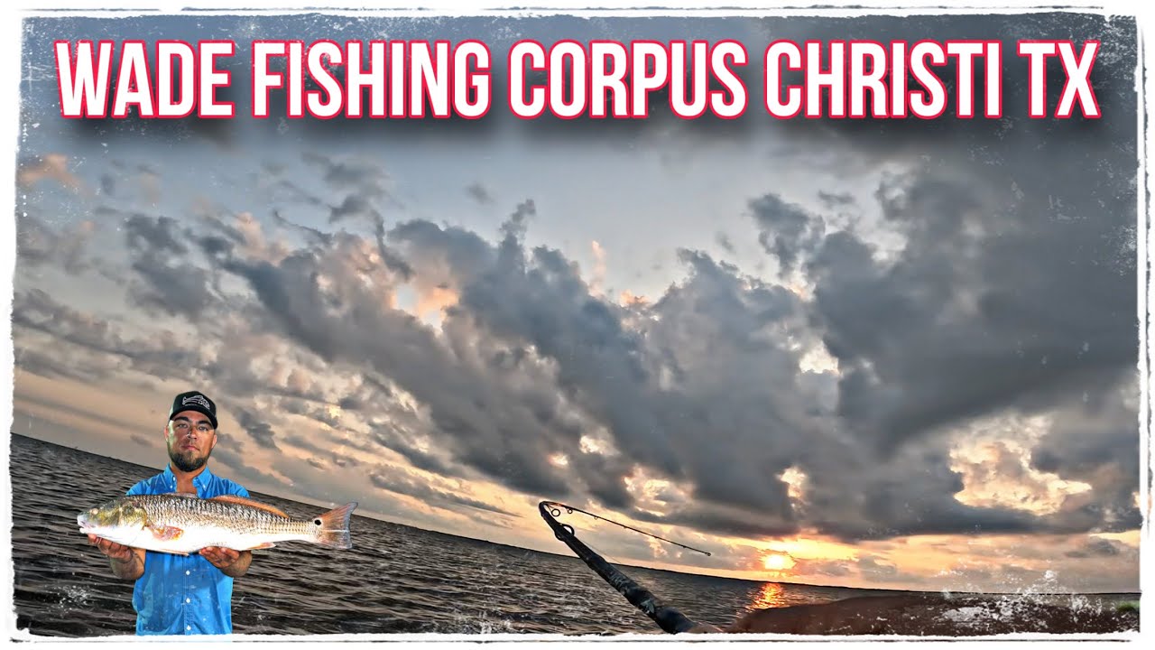 Wade Fishing In Corpus Christi at Darcy Ryan blog
