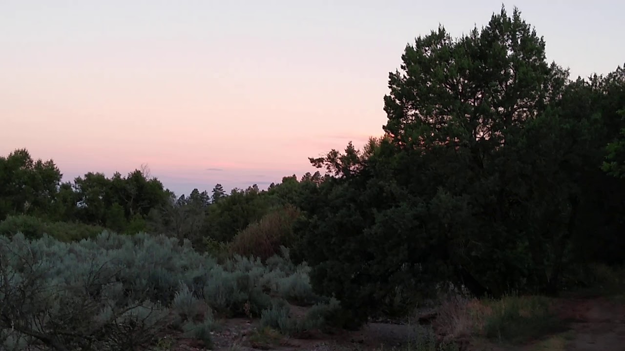 Raw Nature - YouTube