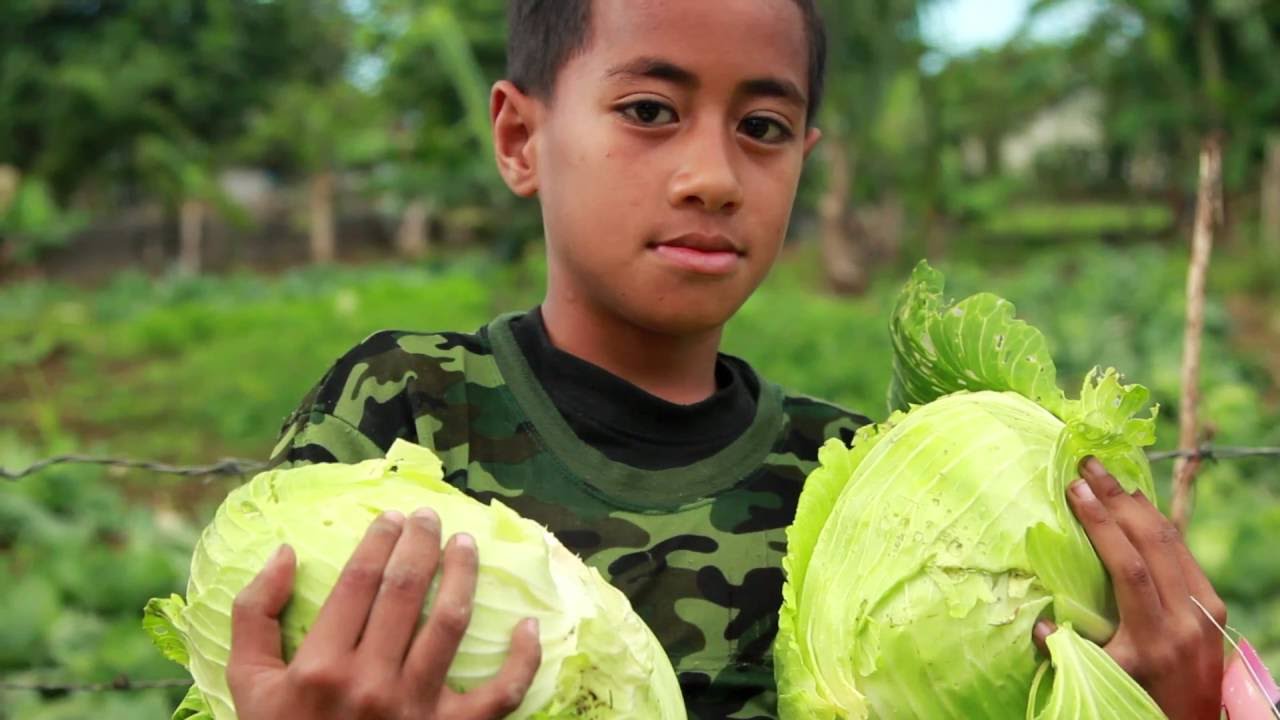 Luseane Promo - YouTube