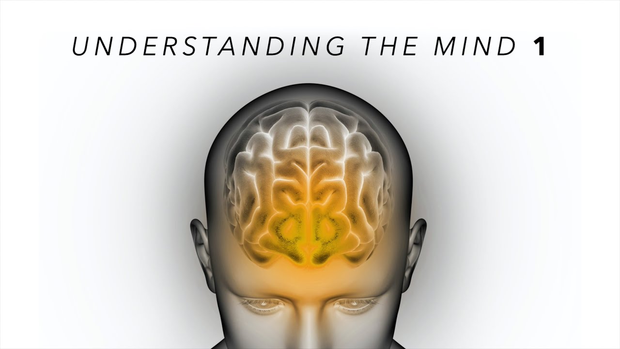 Understanding The Mind 1 - YouTube